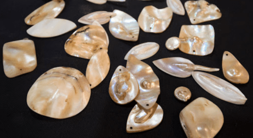 See Unique Freshwater Pearls In Camden Tennessee