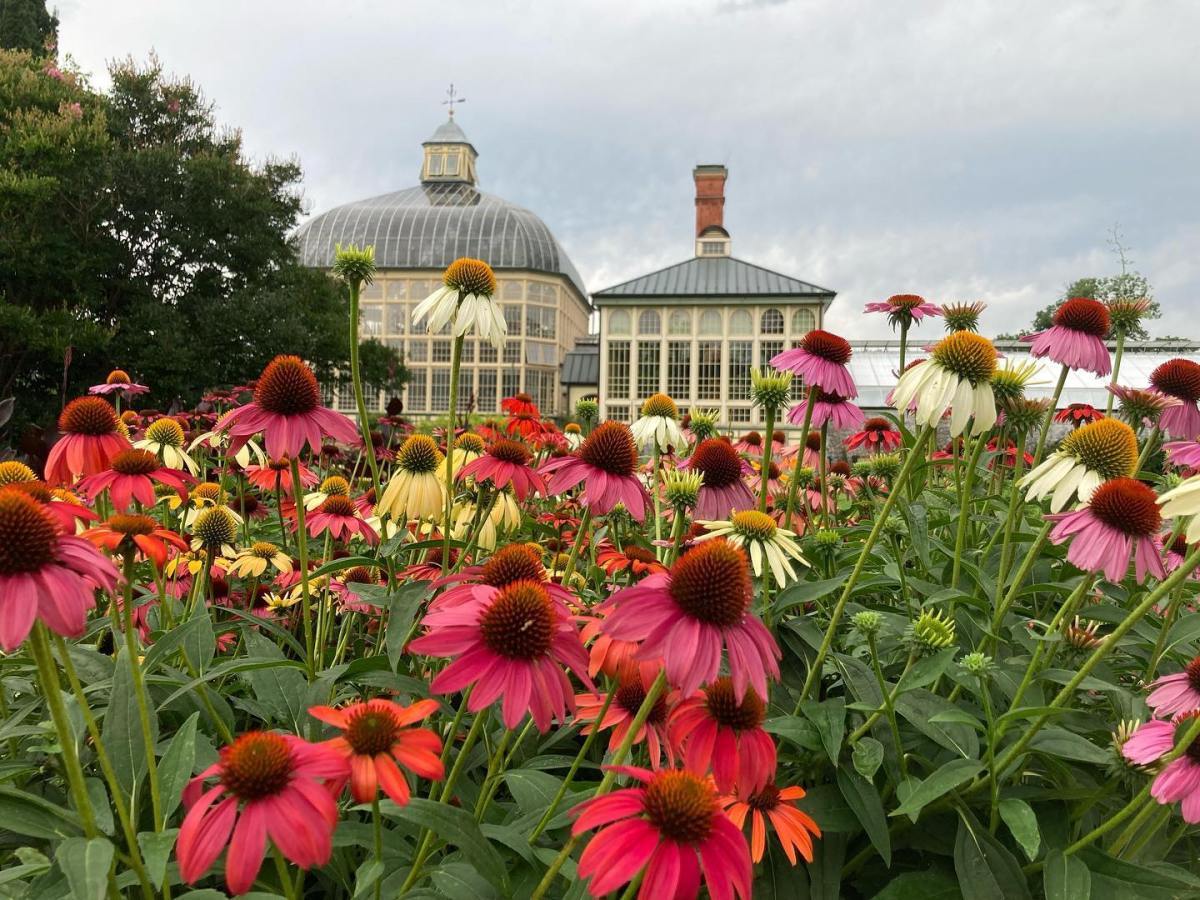 Rawlings Conservatory In Maryland Has Gardens With Rare Plants