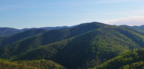 Brew Ridge Trail: Amazing Brewery Trail In Virginia