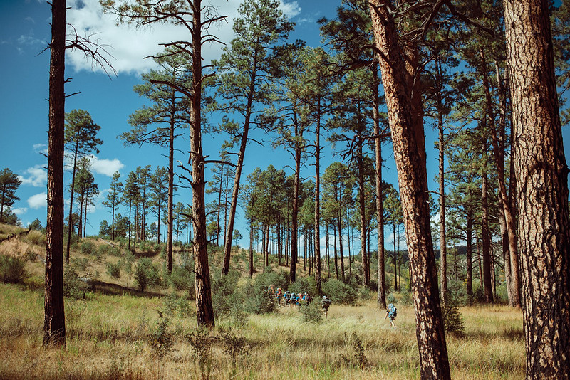 Explore The World's First Designated Wilderness In New Mexico
