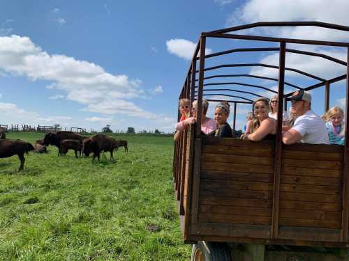 The Amazing Preserve Where You Can See Wild Buffalo In Indiana