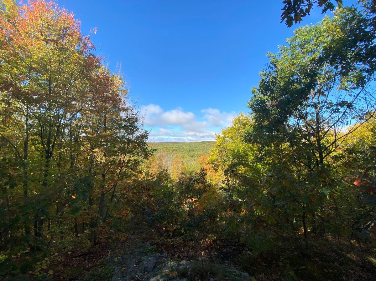 Quartz Hill Trail Has Wisconsin’s Best Forest Views