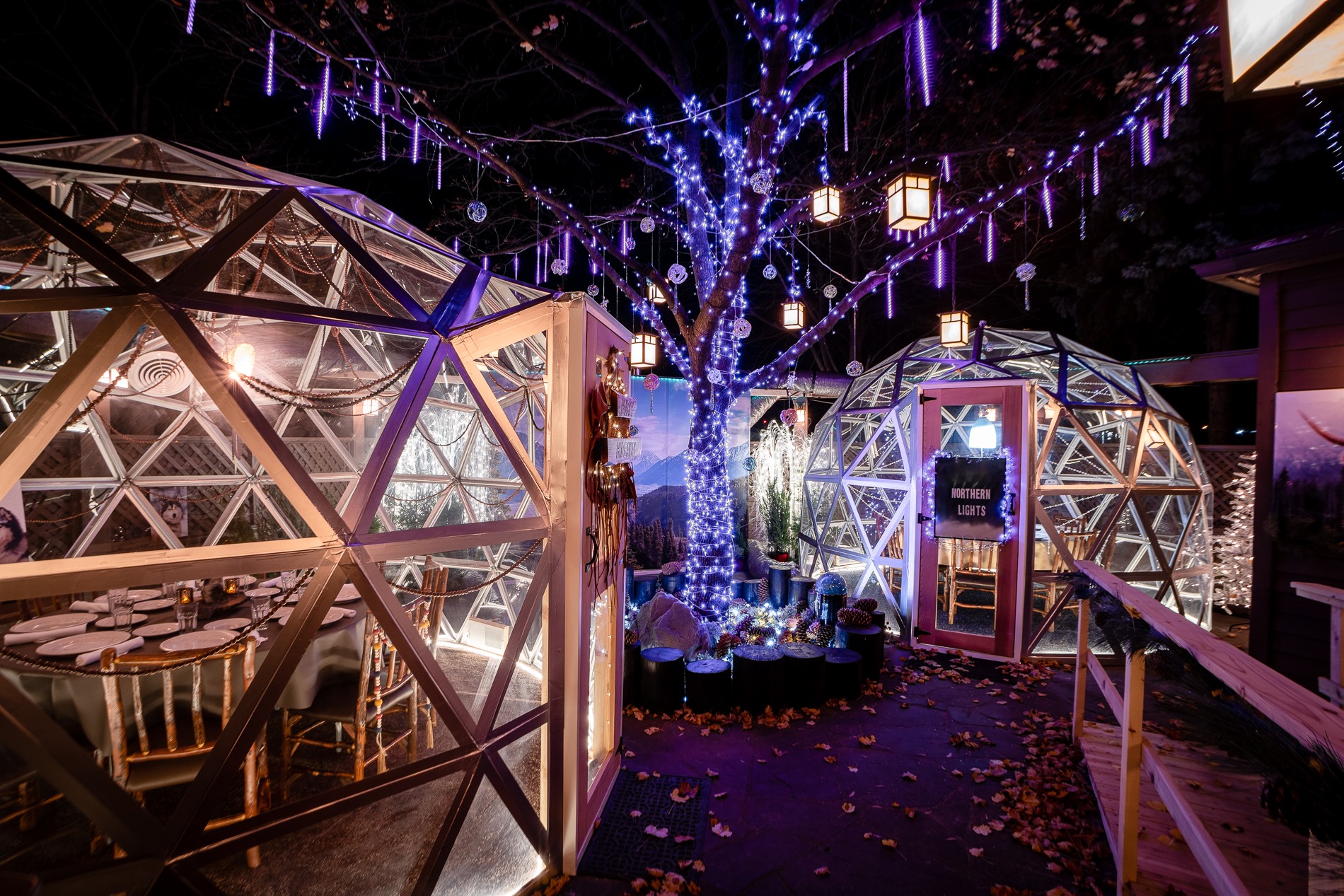 Sip A Hot Drink In A Life-Sized Snow Globe At This Michigan Restaurant ...