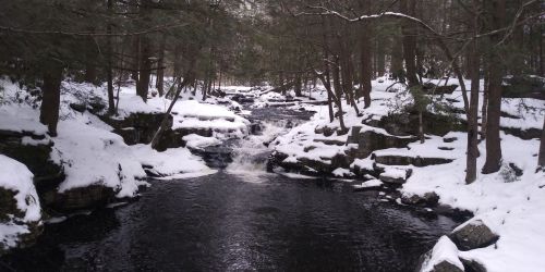 7 Trails In Pennsylvania That Are Perfect For Winter Hiking