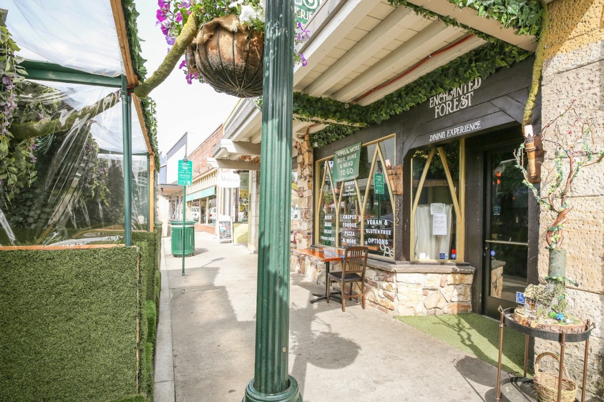 Enjoy A Forest-Themed Day Trip In Northern California Enjoy A Forest-Themed Day Trip In Northern California