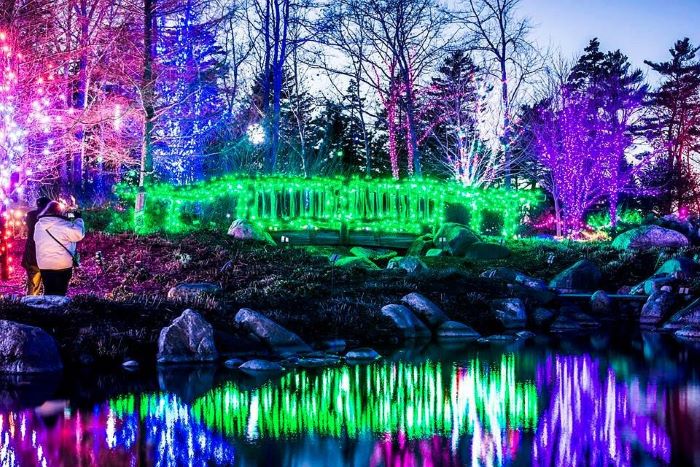 Walk Through A Winter Wonderland Of Ice This Holiday Season At The ...