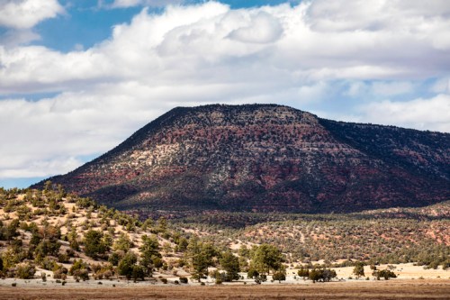 16 Of America's Most Incredible National Forests To Explore