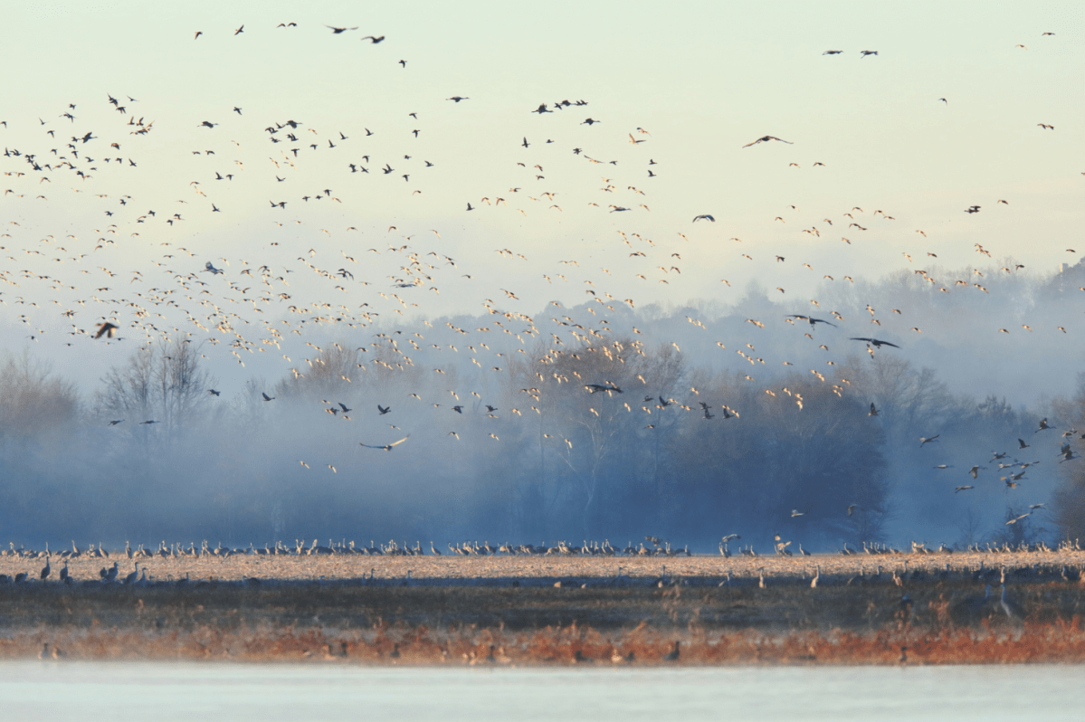 6 Best Winter Destinations in Alabama to Visit