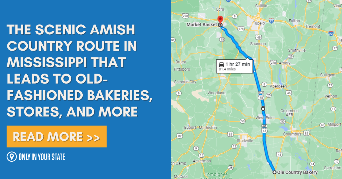 The Scenic Amish Country Route That Leads To 4 Old-Fashioned Bakeries ...