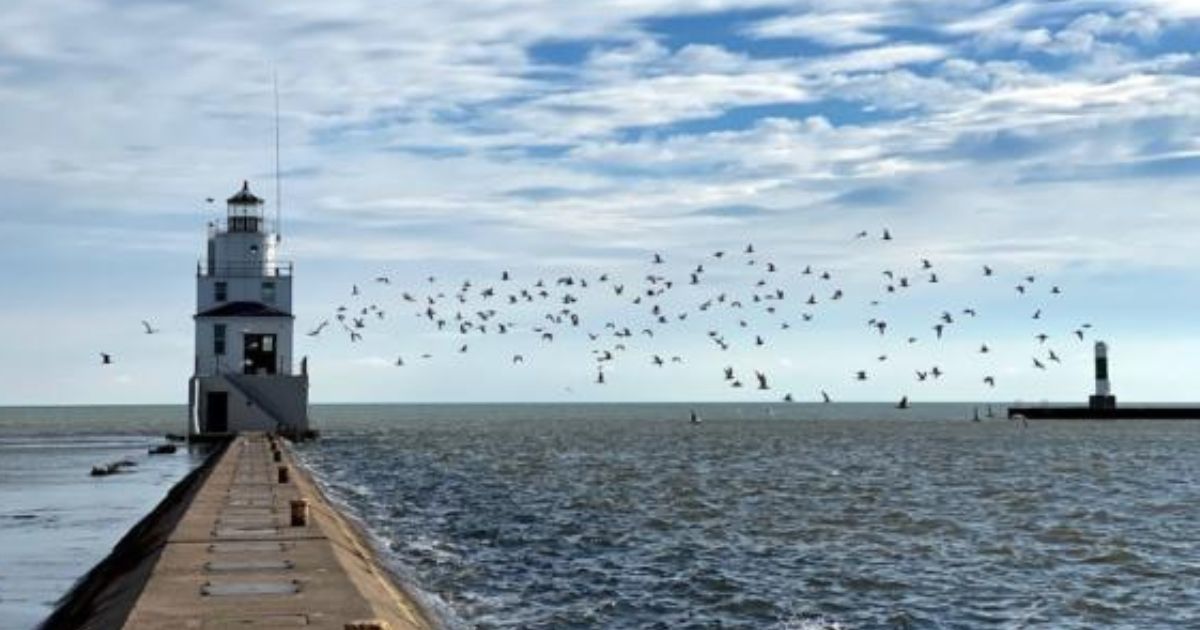 The Stunning Wisconsin Drive That Is One Of The Best Road Trips You Can ...