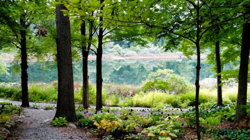 Lakefront Hiking Trail In MI: Hidden Lake Gardens Loop Trail