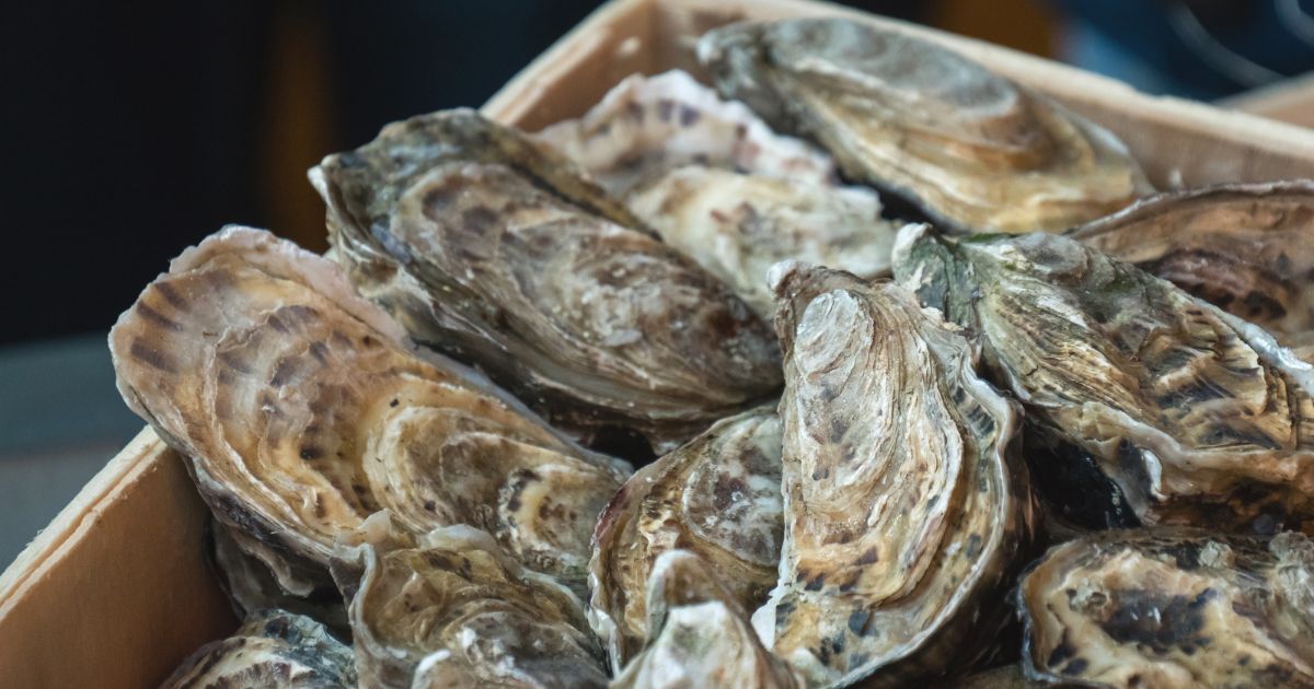 Best Rhode Island Restaurants: 12 Spots to Enjoy This Year