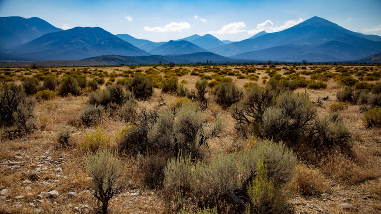 The Ultimate Guide To Great Basin National Park In Nevada