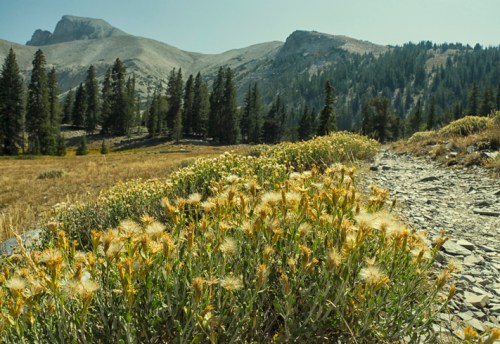 The Ultimate Guide To Great Basin National Park In Nevada