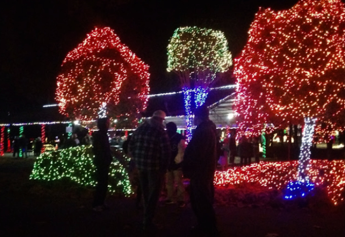 Best Christmas Lights In Alabama: Christmas In The Park