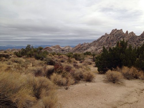 Christmas Tree Pass Is An Unexpected Scenic Drive In Nevada