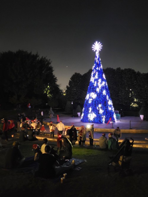 Dallas Arboretum Christmas Lights Are Some Of The Best In Texas