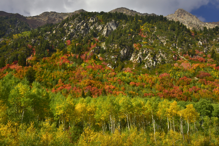 Watch Utah's Seasons Change In Little Cottonwood Canyon