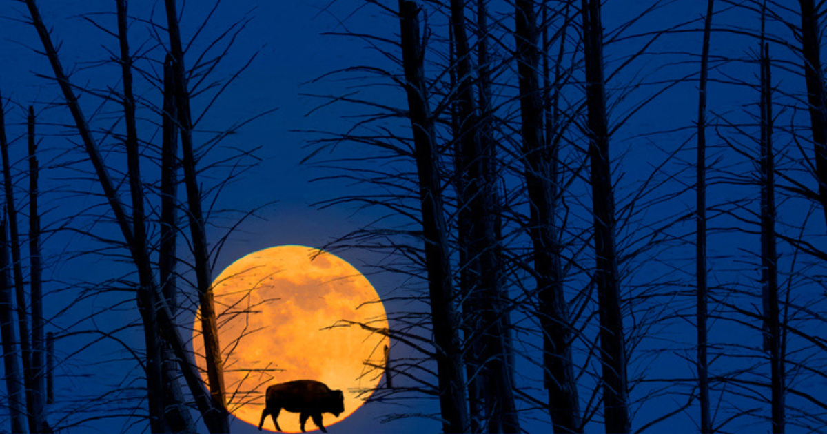 The Most Magical Places Across The U.S. To Enjoy Nature At Night