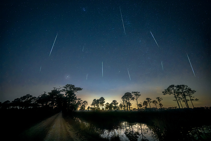 Places To View The Geminid Meteor Shower In South Carolina