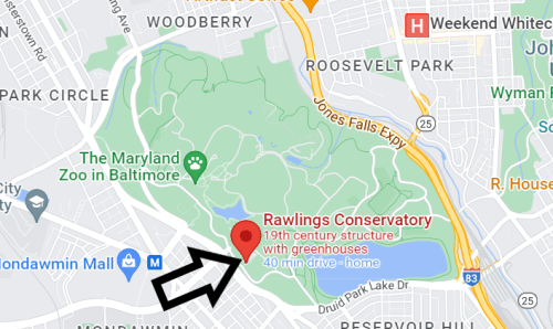 Rawlings Conservatory In Maryland Has Gardens With Rare Plants