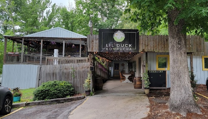 Discover the Fairytale Charm of Lil Duck Treehouse Cafe
