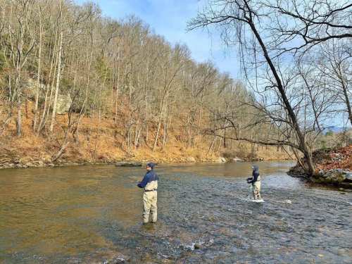 Enjoy An Unforgettable Adventure In North Carolina's Trout Waters