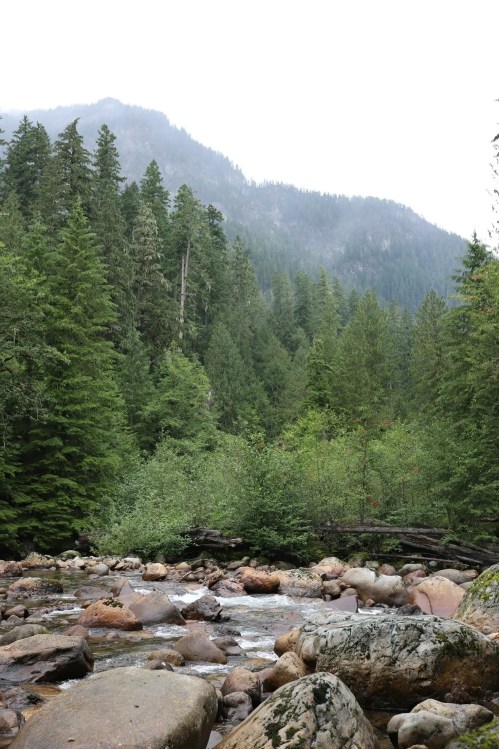 Mountain Loop Scenic Byway: Road Trip In Washington