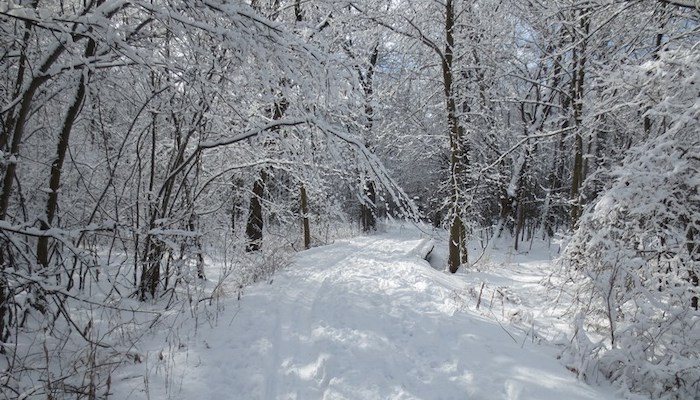 A Winter Getaway To Illinois’ Snowiest County Is Nothing Short Of Magical