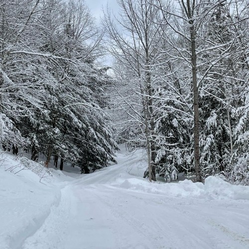 New Hampshire's Snowiest Town Is A Magical Winter Getaway