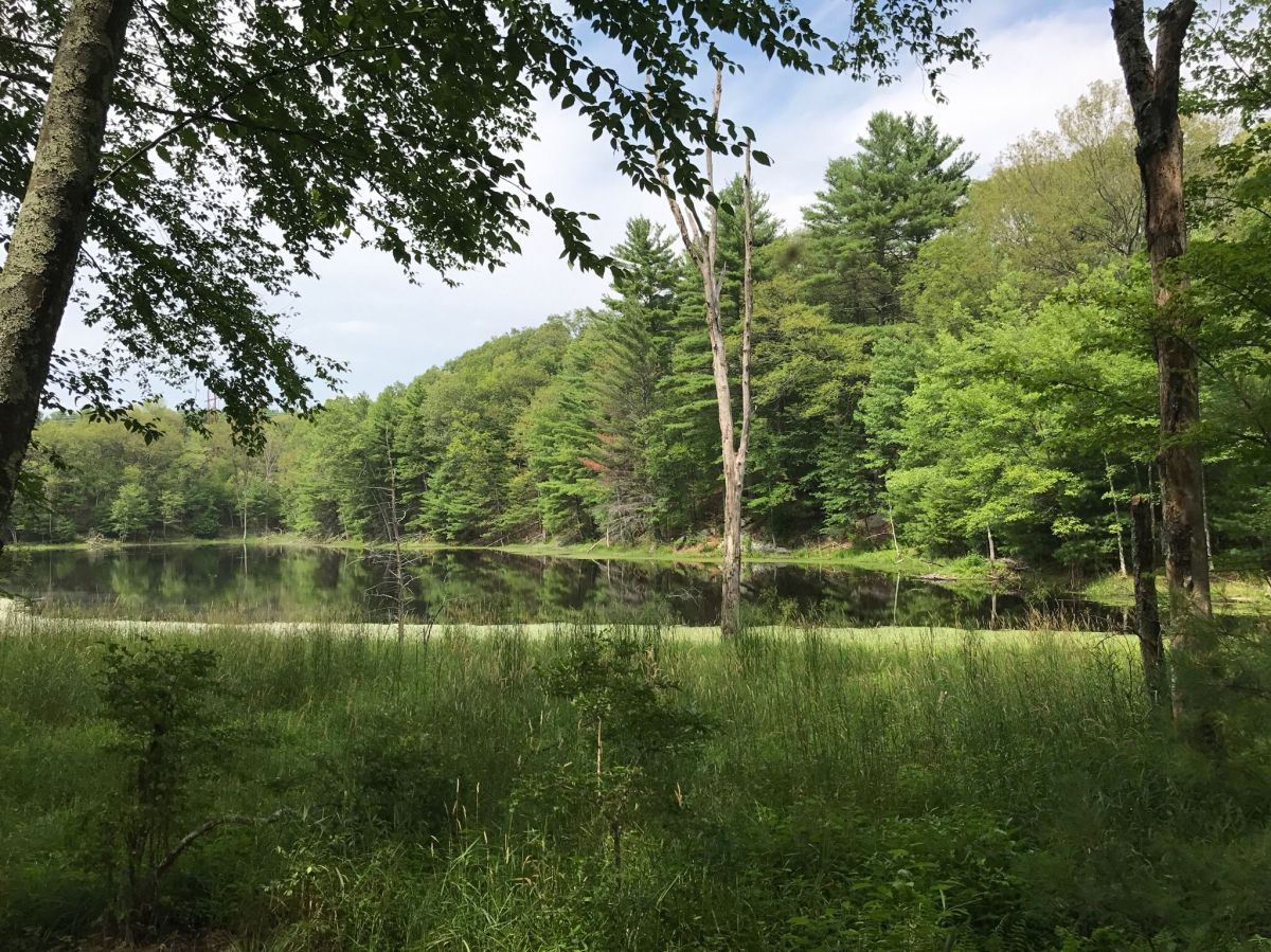 Fort Nature Blue Loop Is A Beautiful Forest Hike In Rhode Island