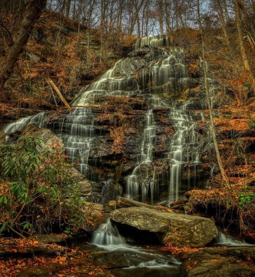 "When Do The Leaves Change In South Carolina?" Read On!