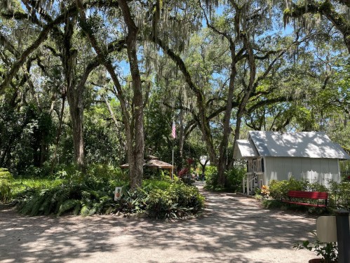 Bongoland: An Abandoned Theme Park In Florida You Can Visit
