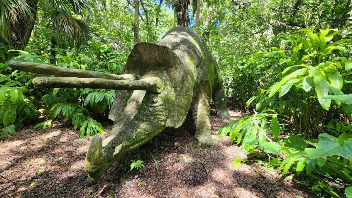 Bongoland: An Abandoned Theme Park In Florida You Can Visit
