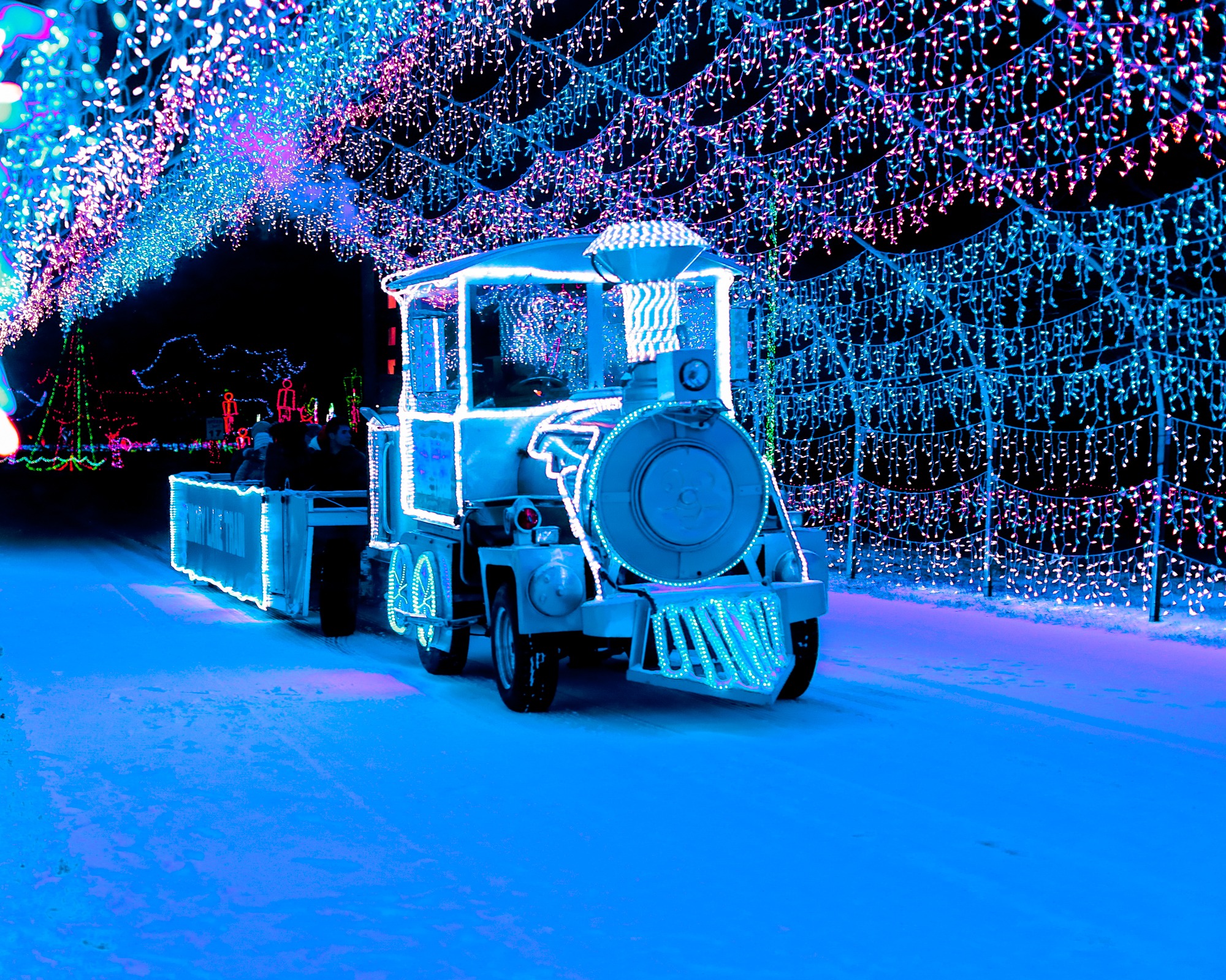 Ride A Train Through Over One Million Holiday Lights At LMCU Ballpark ...