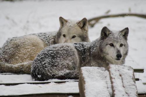 These Winter Day Trips In Indiana Are Perfect For Adventure