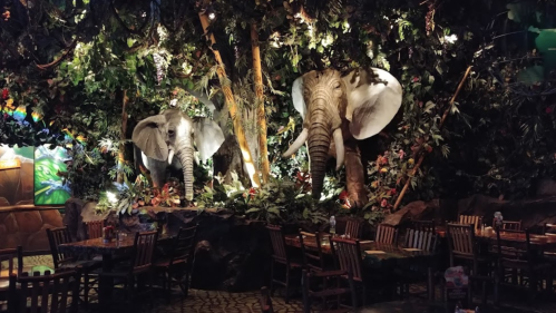 The Whole Family Will Love The Rainforest Cafe In Michigan