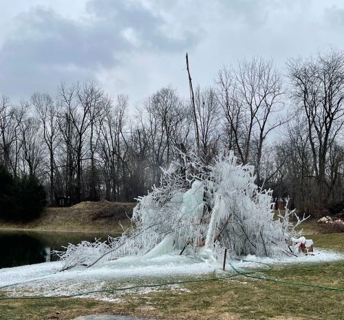 Best Winter Attraction In Indianapolis, IN: Veal’s Ice Tree