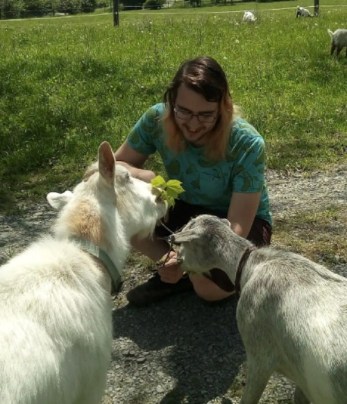 Hike With Goats At This Farm In Pennsylvania
