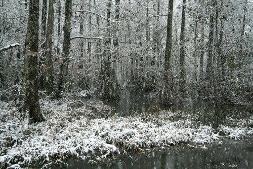 A Quick Look Back At Some Of The Coldest Winters In Louisiana