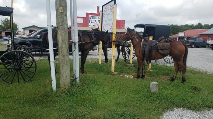 Visit Amish Country In Ethridge Tennessee
