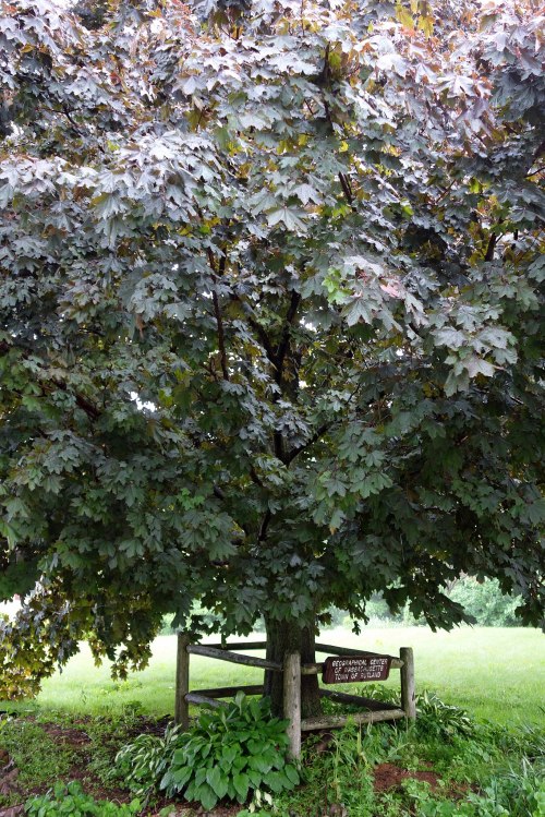 Visit Rutland, The Geographical Center Of Massachusetts