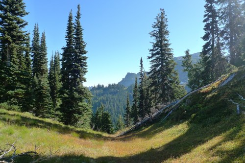 The Ultimate Guide to Washington's Mount Rainier National Park