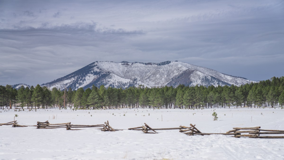 Coldest Winter In Arizona: January 1971