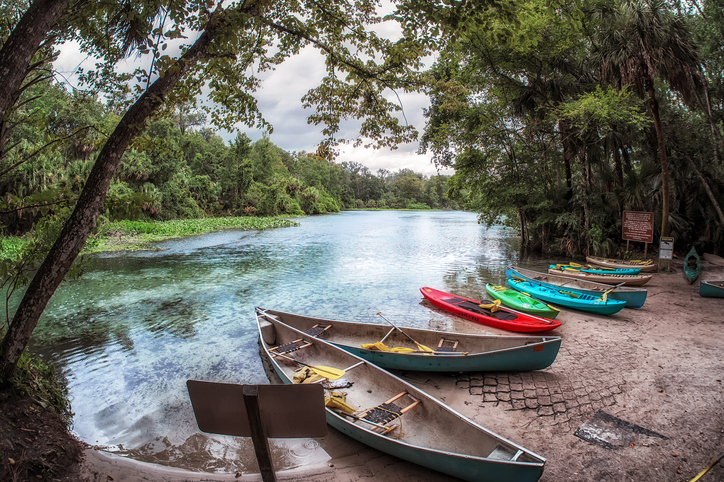 7 Of The Best Florida Winter Day Trips