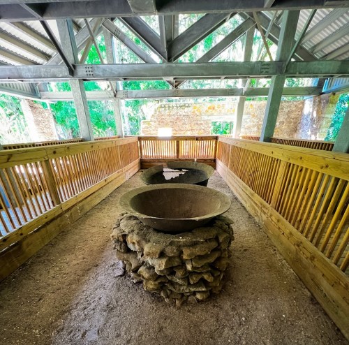 Bongoland: An Abandoned Theme Park In Florida You Can Visit