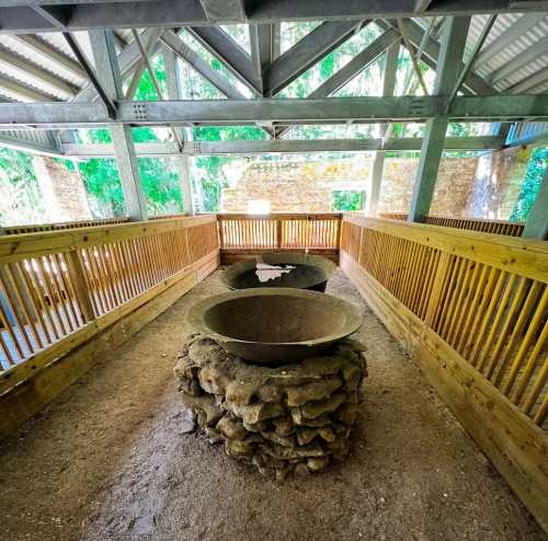 Bongoland: An Abandoned Theme Park In Florida You Can Visit