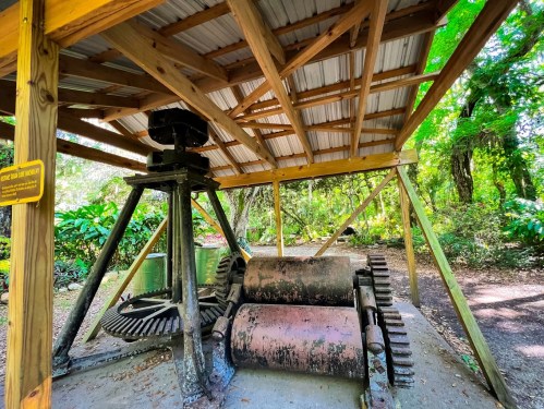Bongoland: An Abandoned Theme Park In Florida You Can Visit