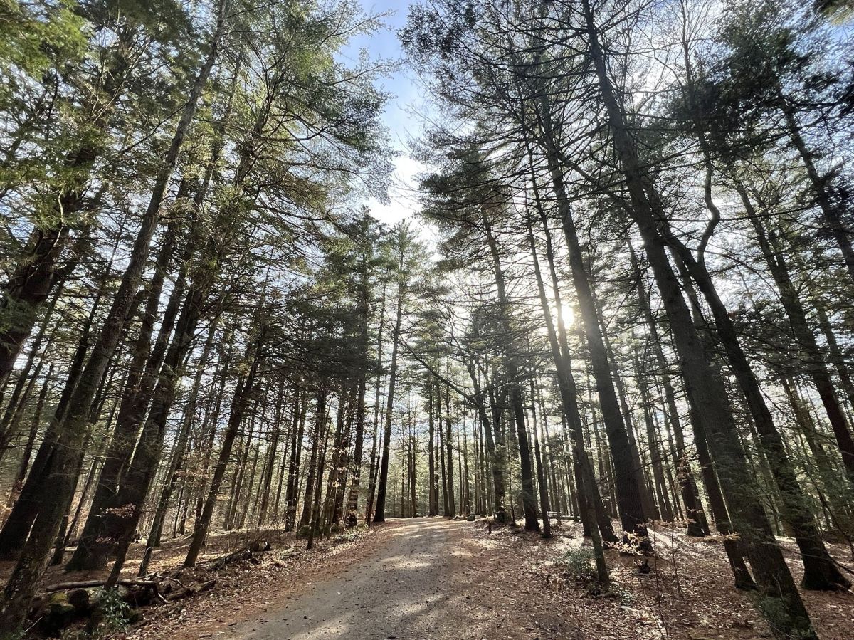 Hiking At Peoples State Forest In Connecticut Is Incredible