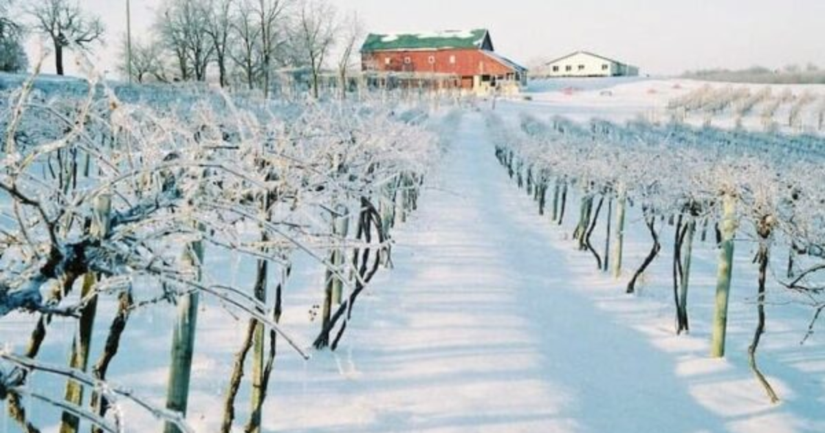 The Small Town In Iowa That Comes Alive During The Winter Season